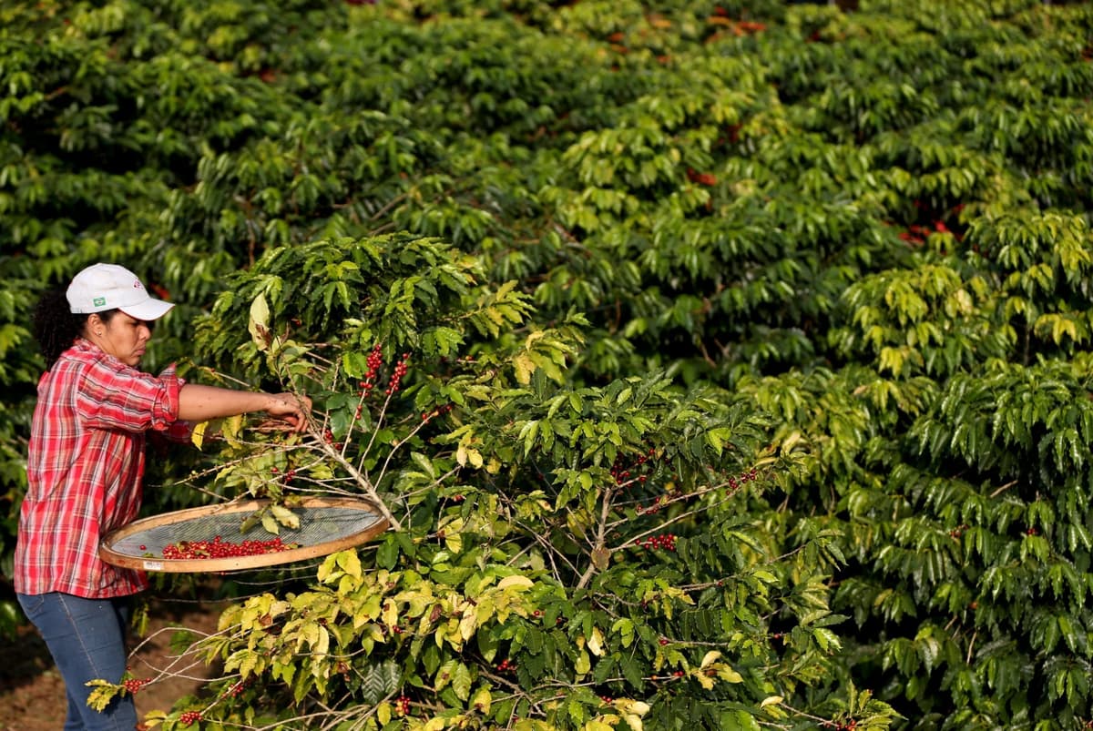 Red Forbes - Forbes Colombia